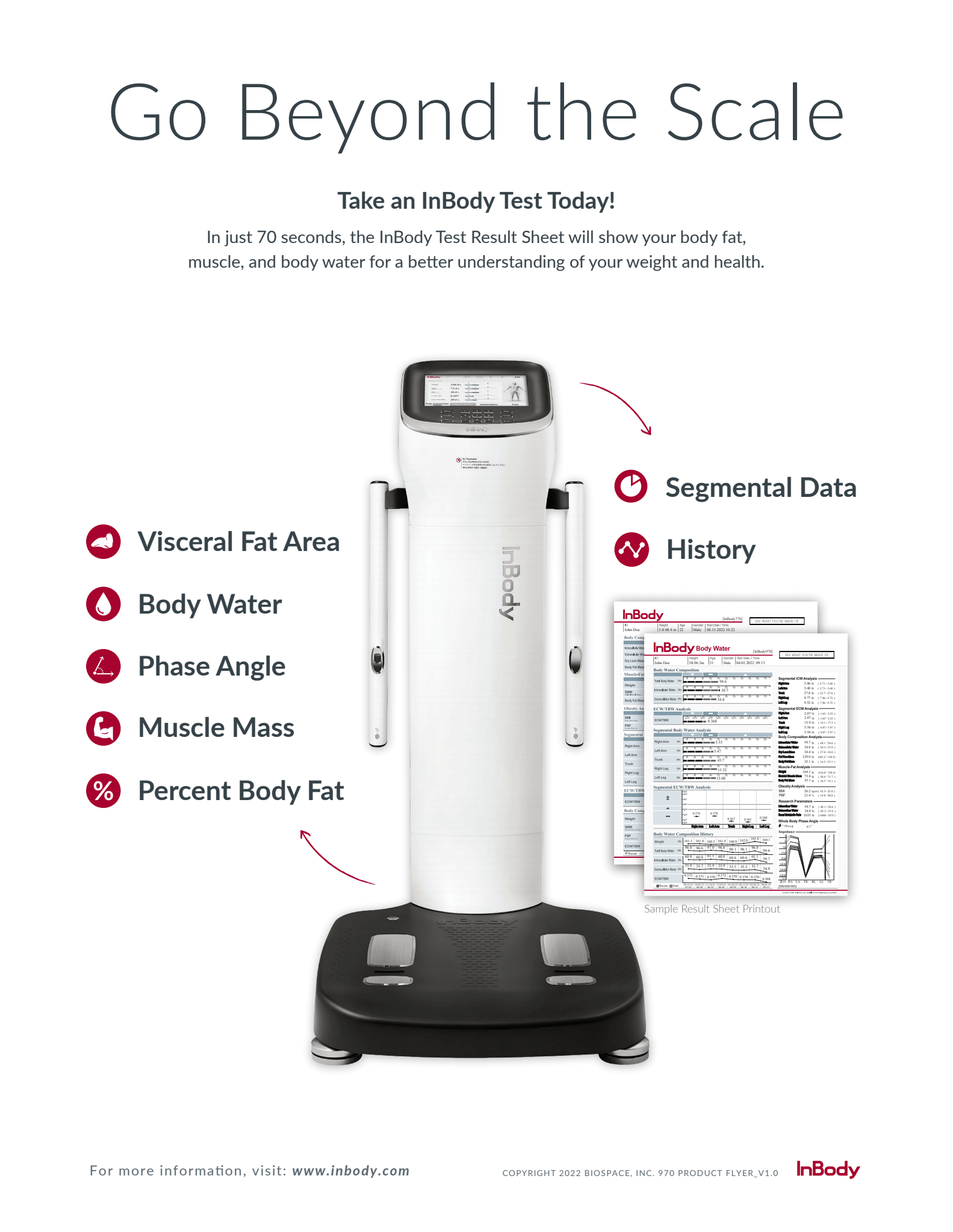InBody 970 with analysis | Freedom Functional Medicine